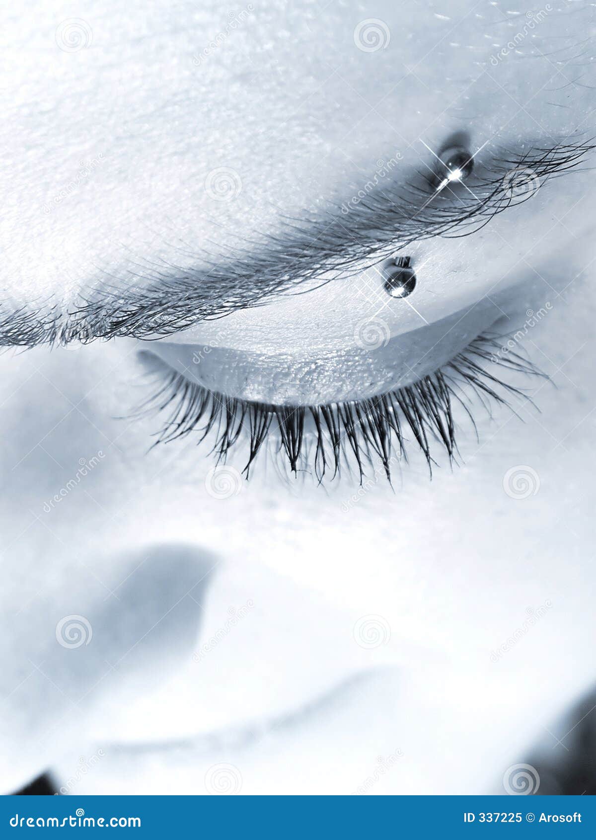 Eye & pierce stock image. Image of female, eyebrow - 337225