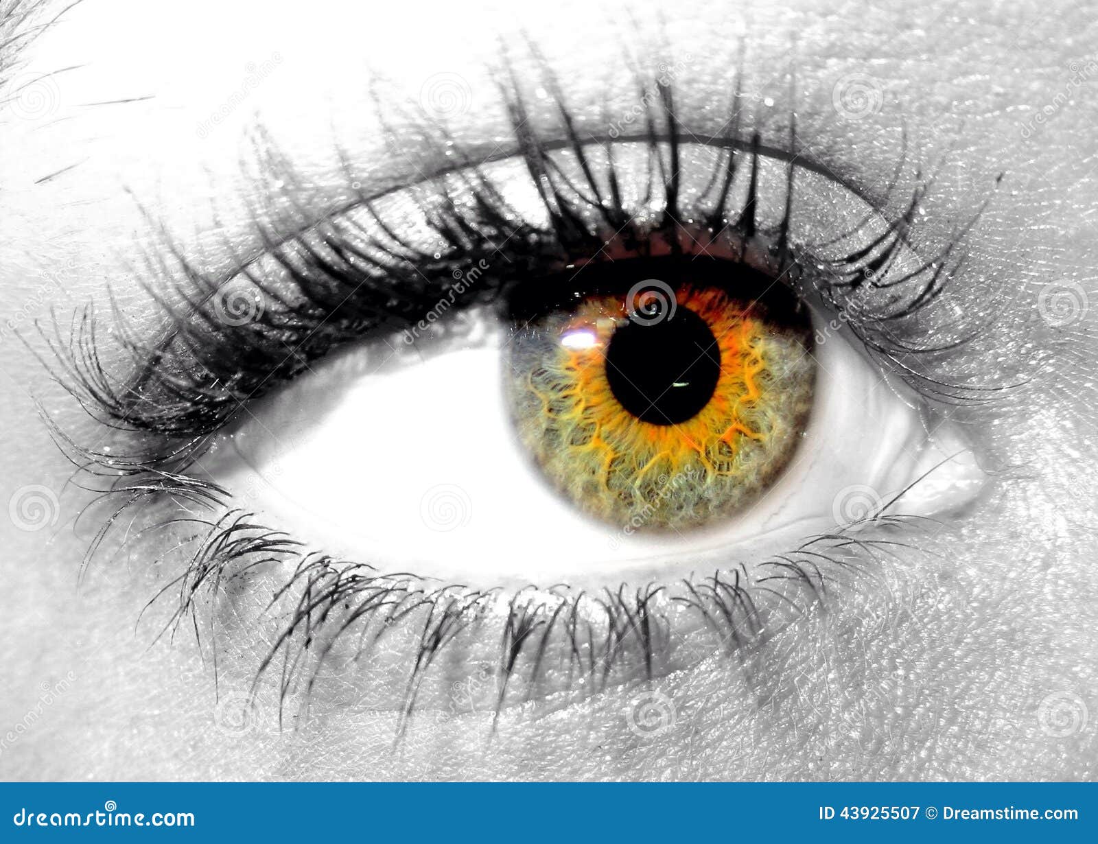 Eye stock image. Image of inside, planet, nature, cool - 43925507