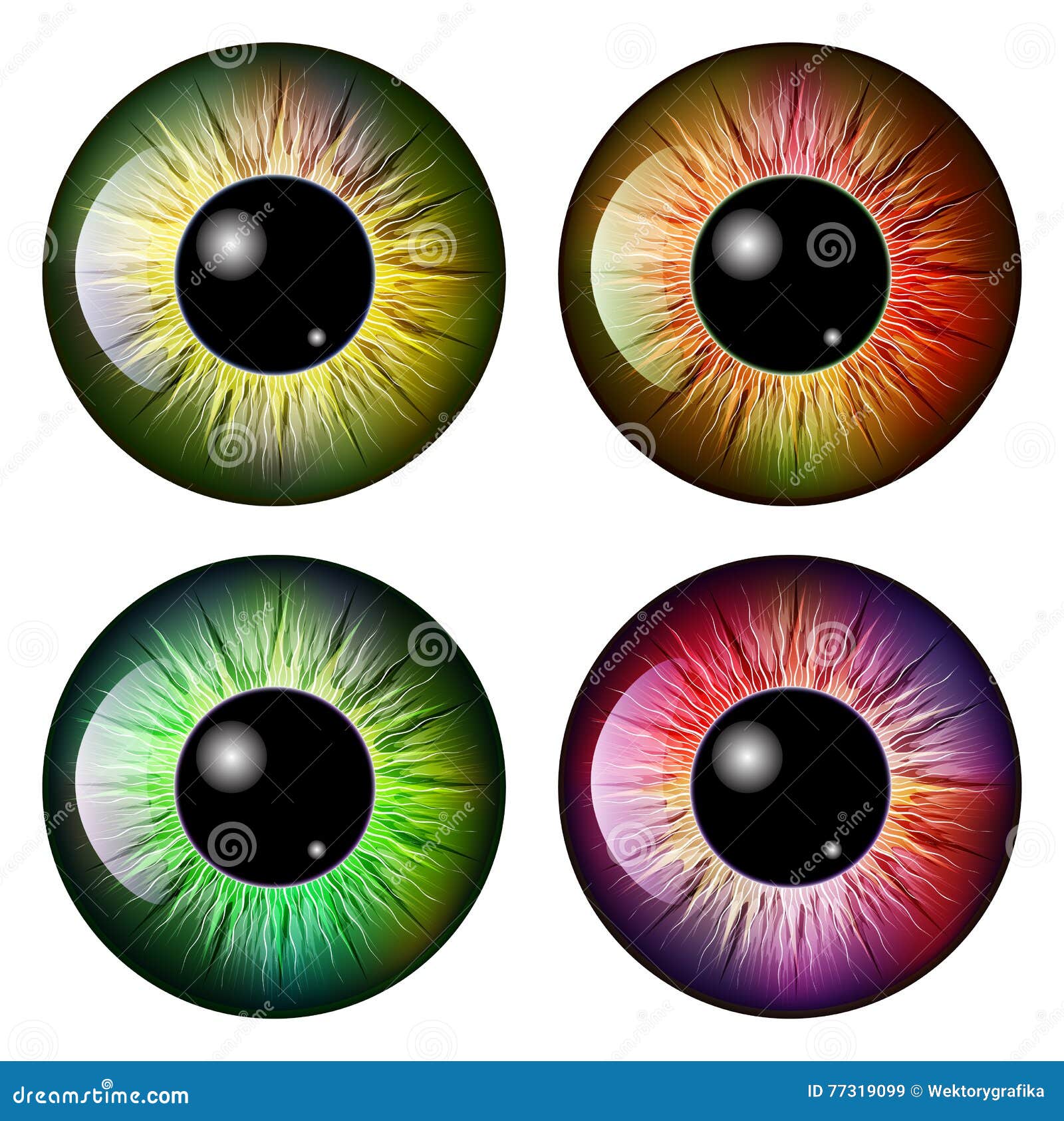 Eye Pupil And Iris Eyelid And Eyeball With Lashes Isolated Sketch ...