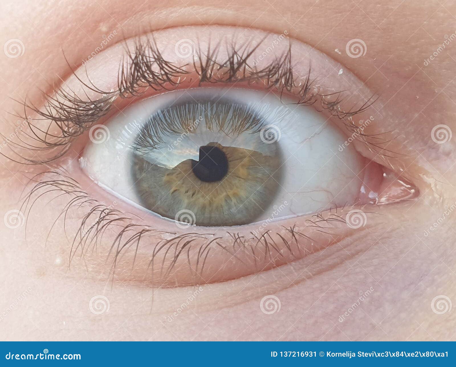 Eye stock image. Image of skin, pupil, eyeball, capillary - 137216931