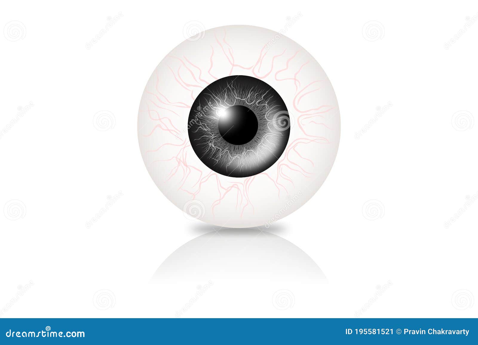 Eye Realistic. Vector Illustration of 3d Human Glossy Photo Rrealistic ...