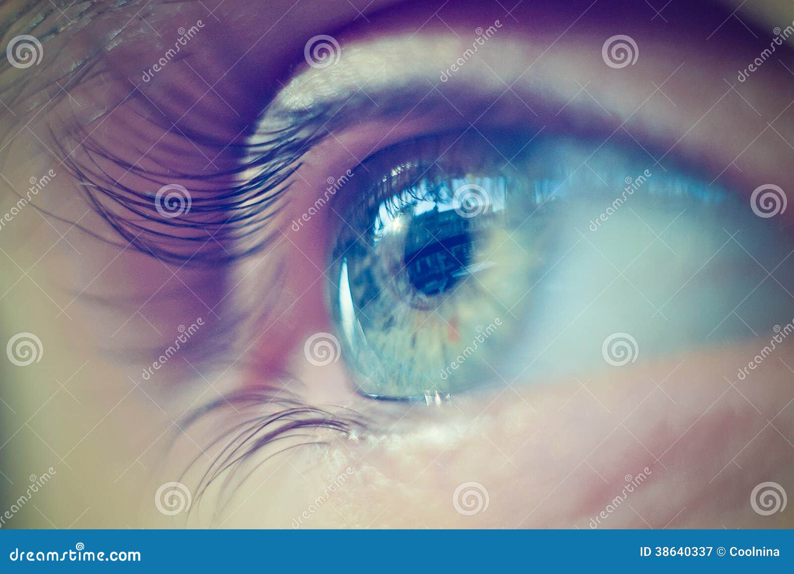 Eye with reflection stock image. Image of idea, refraction - 38640337