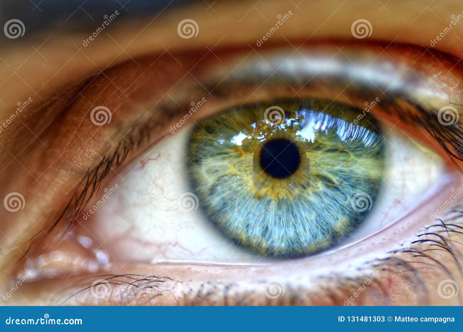 Eye stock image. Image of eyes, person, reflection, lightblue - 131481303