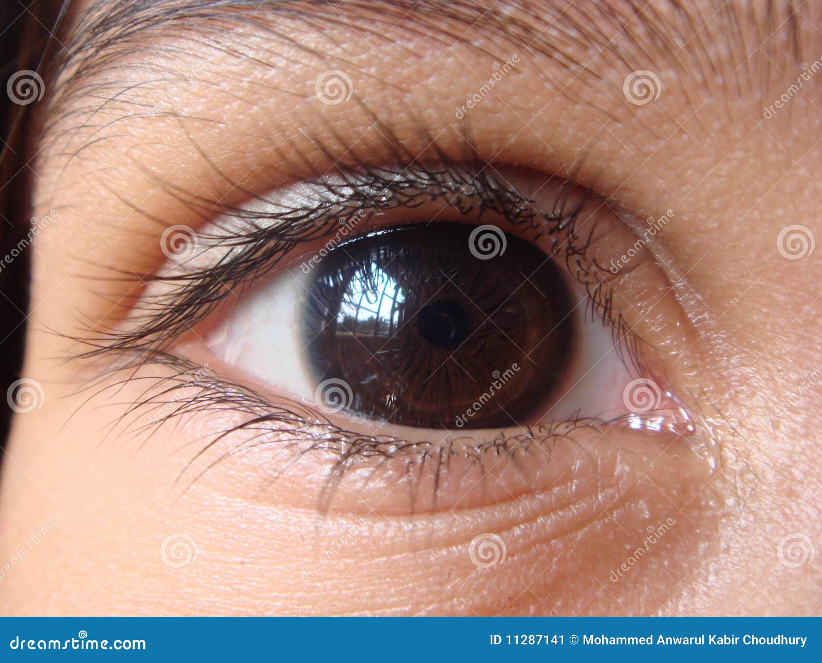 Eye Reflects a Window stock image. Image of socket, reflect - 11287141