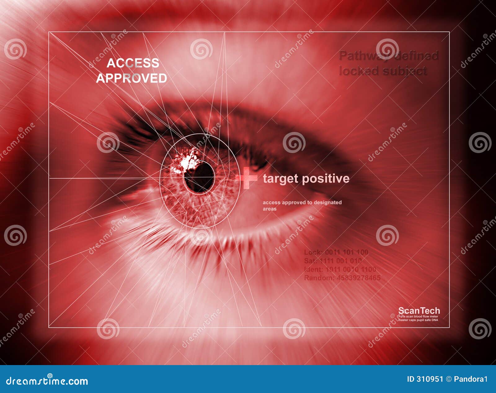 Eye scan stock illustration. Illustration of scan, iris - 310951