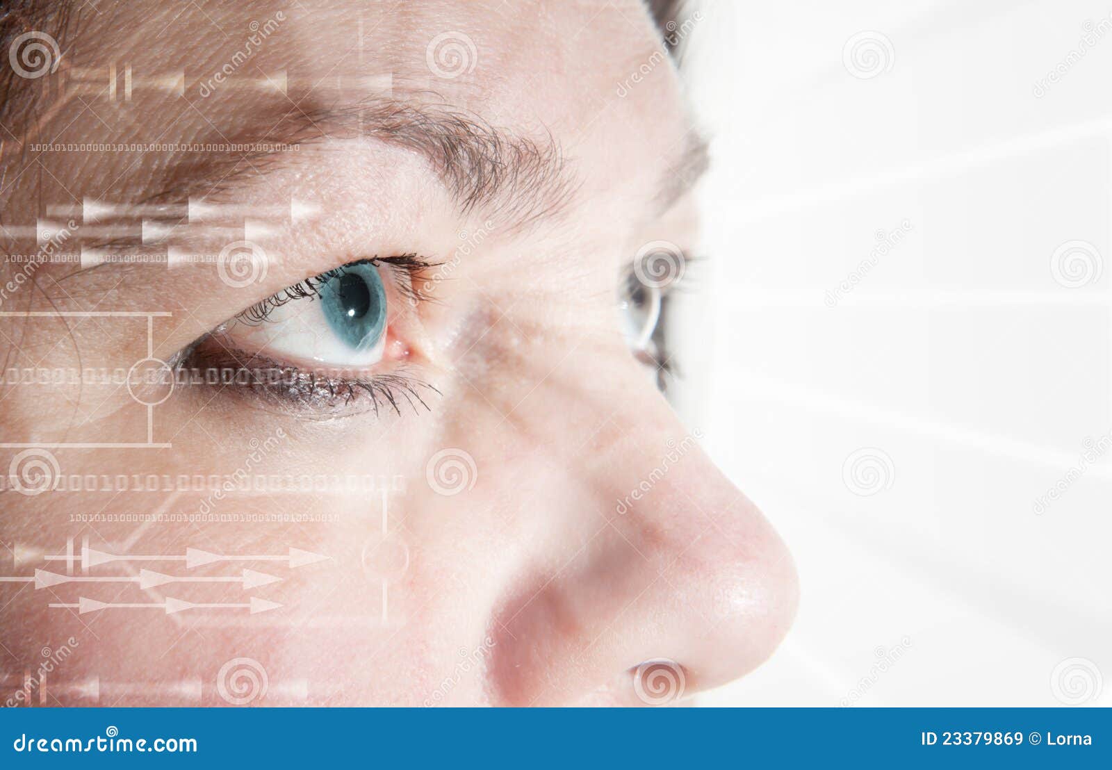 Eye scan iris biometric stock image. Image of analysis - 23379869