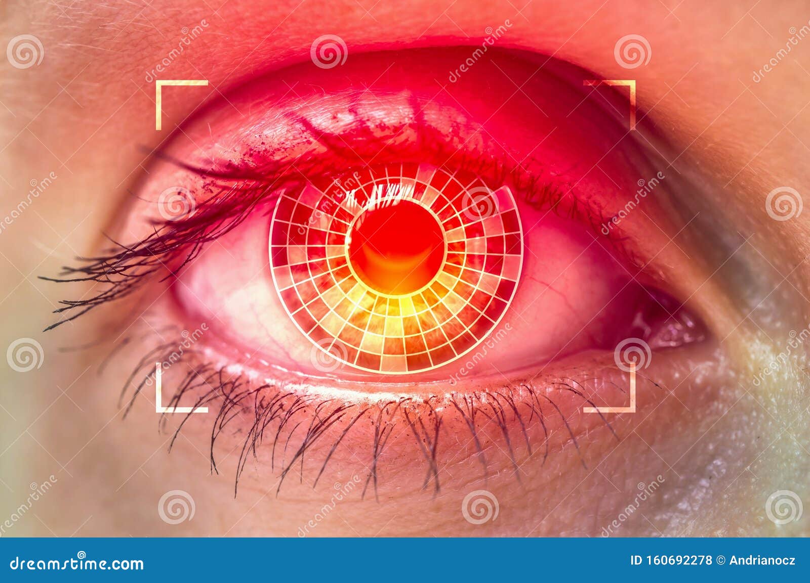 Eye Scanning and Recognition - Biometric Identification Concept Stock ...