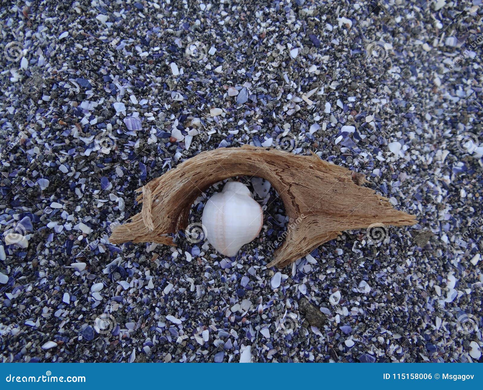 Symbolic sea objects stock photo. Image of mussel, beach - 115158006