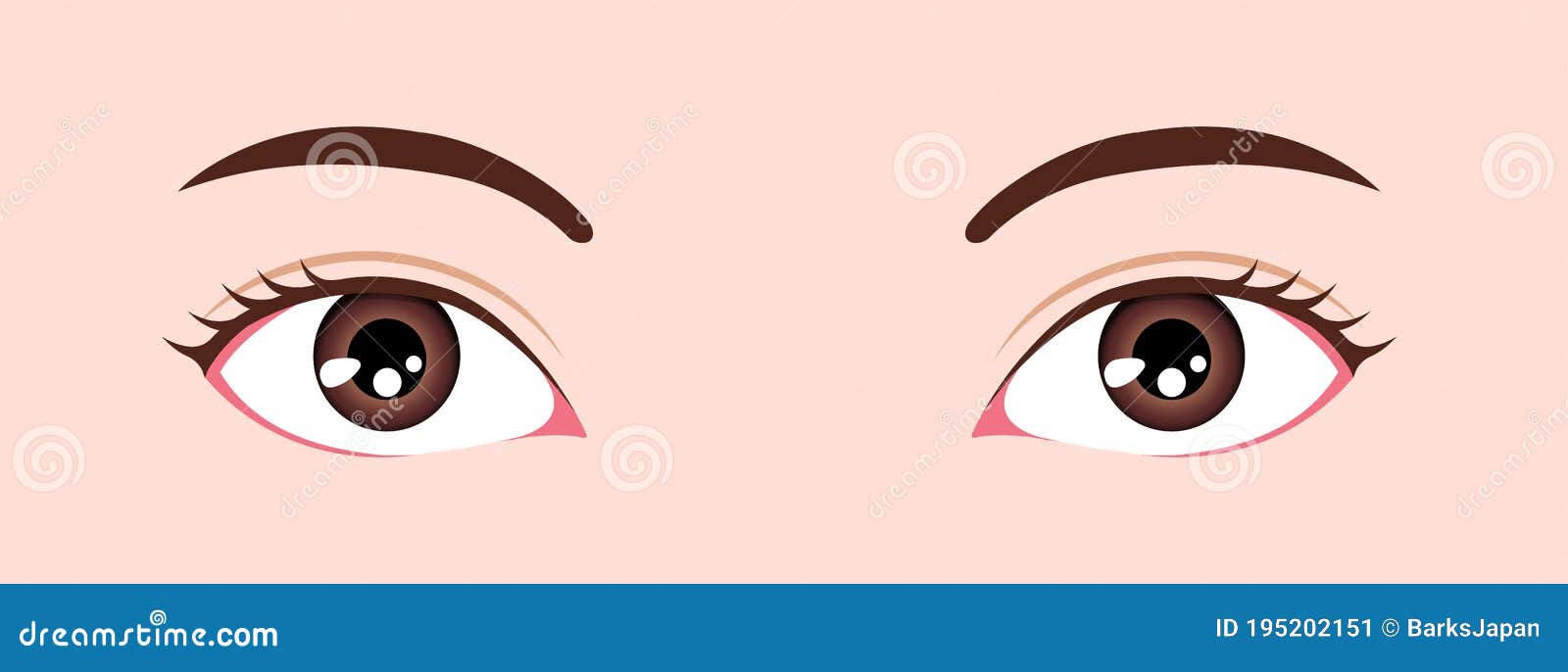 Eye Shapes Eyeball Size and Position Vector Illustration Stock Vector ...
