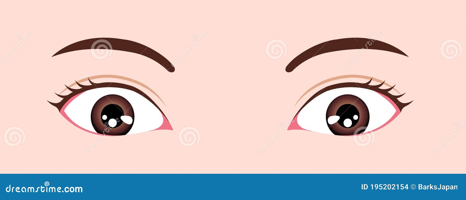 Eye Shapes Eyeball Size and Position Vector Illustration Stock Vector ...