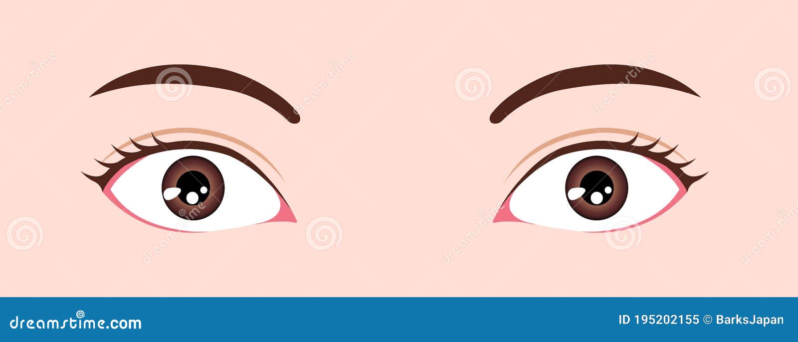 Eye Shapes Eyeball Size and Position Vector Illustration Stock Vector ...