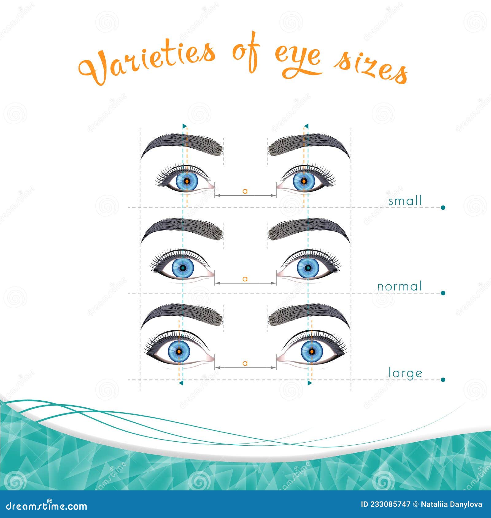 Eye Sizes on a White Background Stock Vector - Illustration of size ...