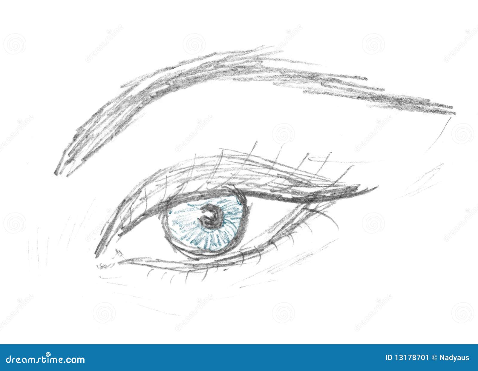Eye sketch stock illustration. Illustration of graphic - 13178701