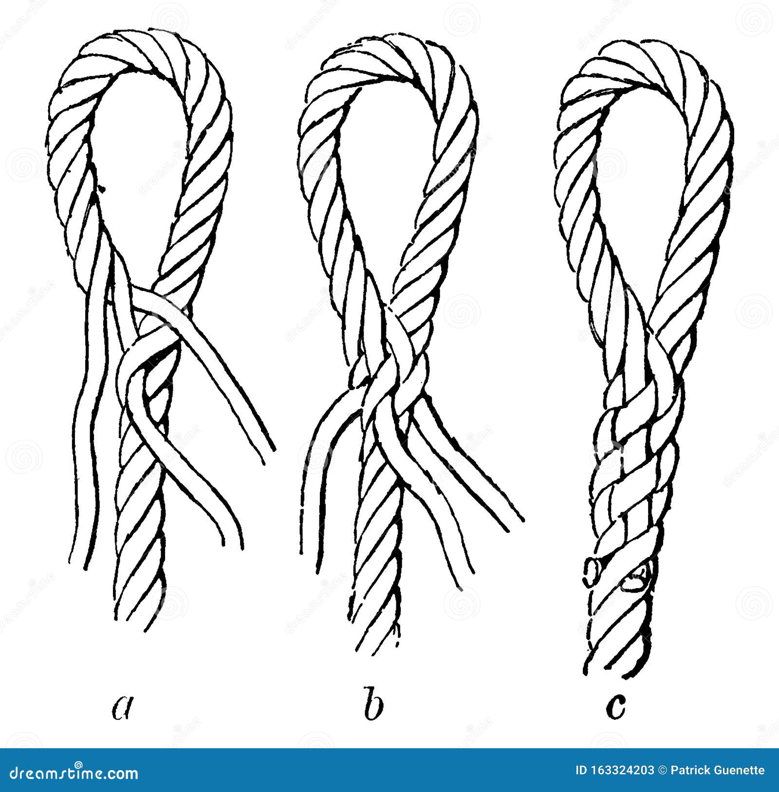 Splice Royalty-Free Stock Image | CartoonDealer.com #225051646