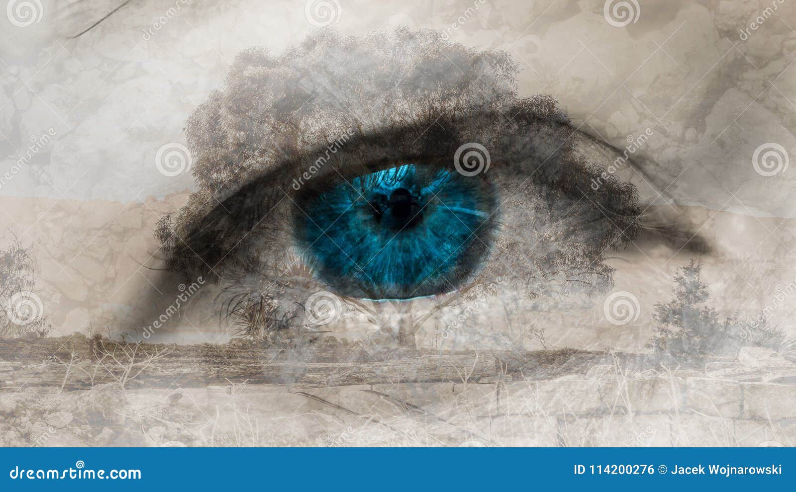 Eye and Tree B Double Exposure Stock Photo - Image of macro, blur ...