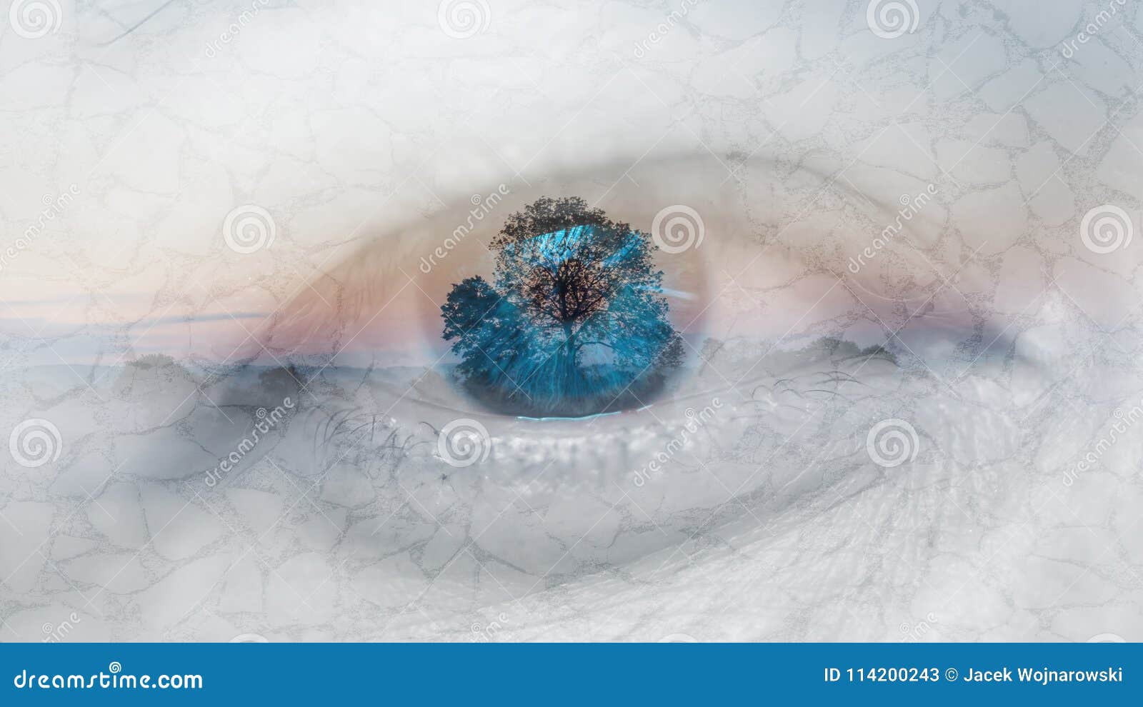 Eye and Tree a Double Exposure Stock Image - Image of shallow ...