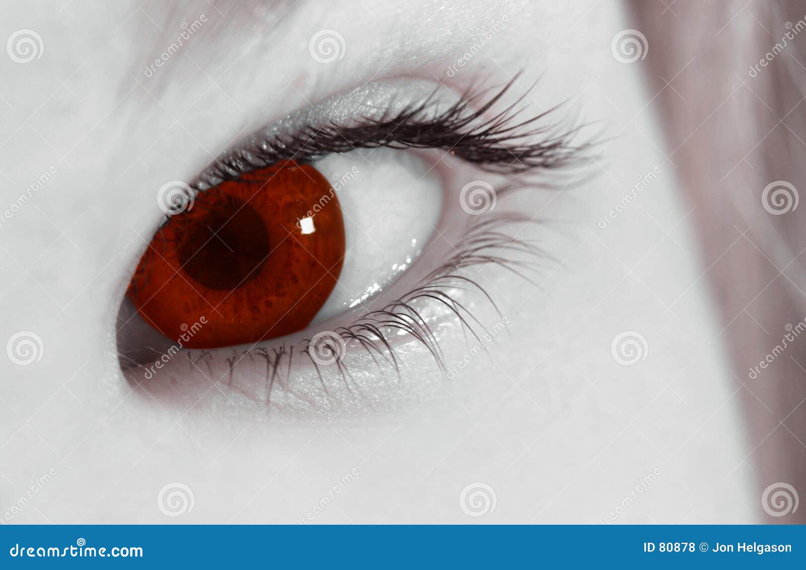 The eye of the vampire stock photo. Image of close, evil - 80878