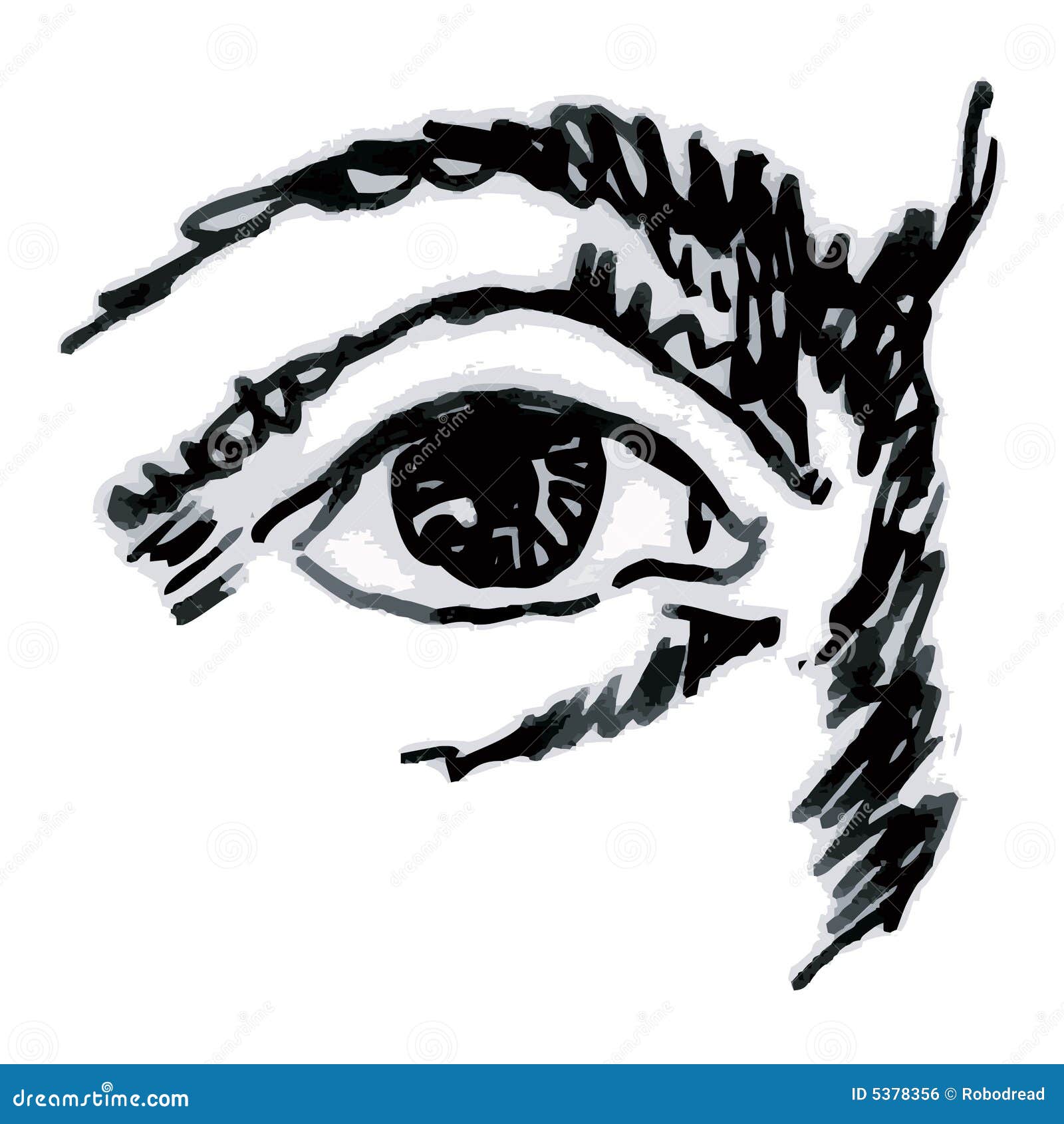 Eye (vector) stock vector. Illustration of face, vision - 5378356