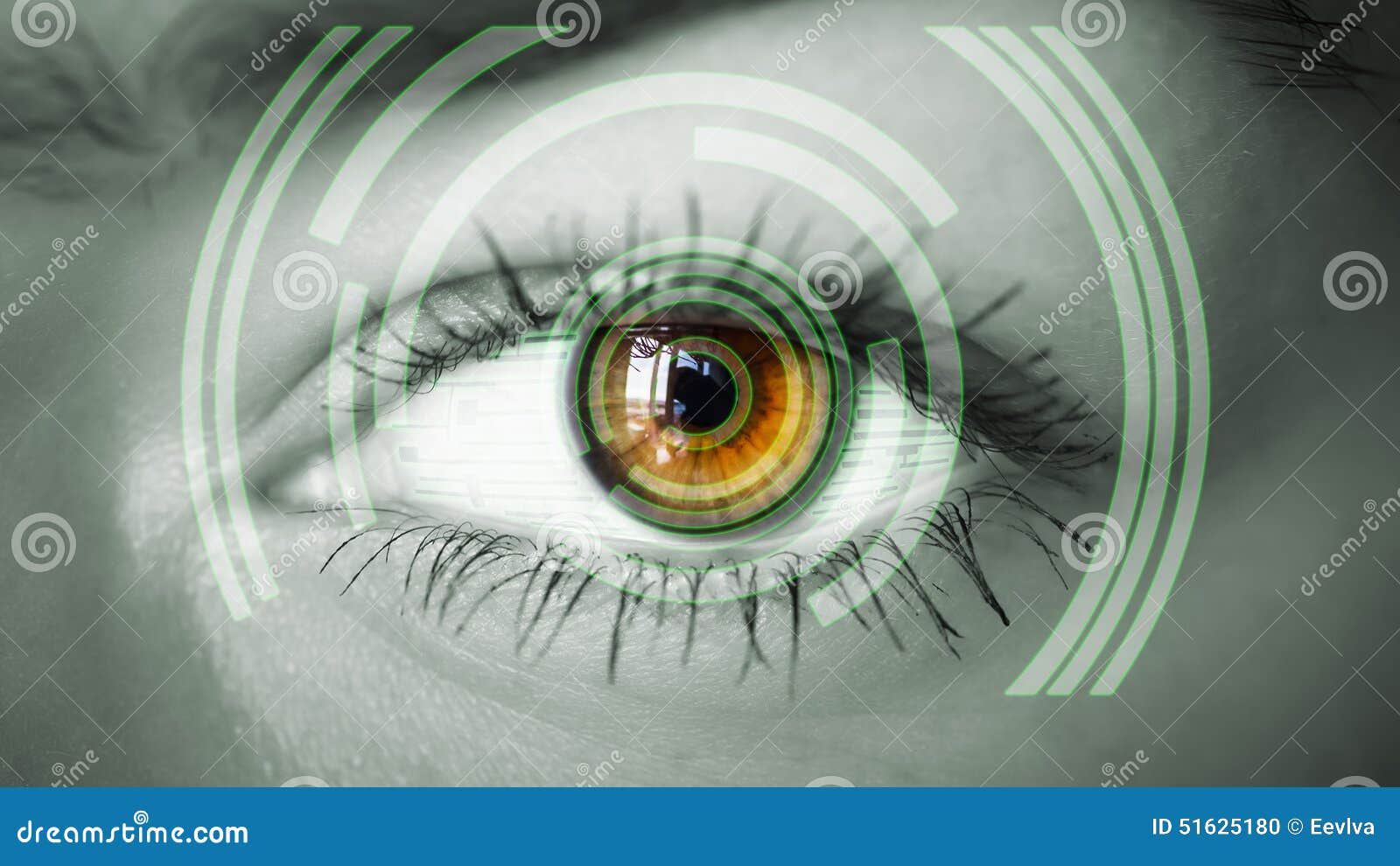 Eye Viewing Digital Information. Stock Image | CartoonDealer.com #55758121