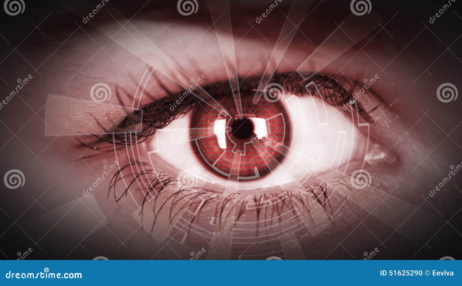 Eye Viewing Digital Information. Stock Photo - Image of beauty, face ...