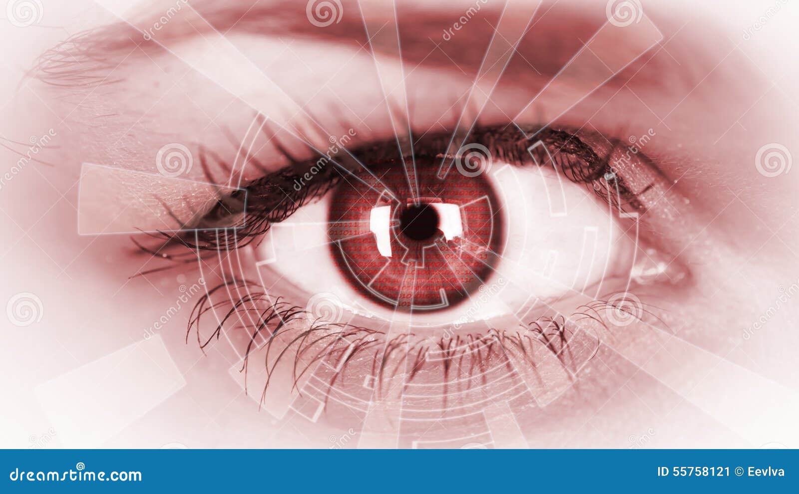 Eye Viewing Digital Information. Stock Image - Image of eyelid, digital ...