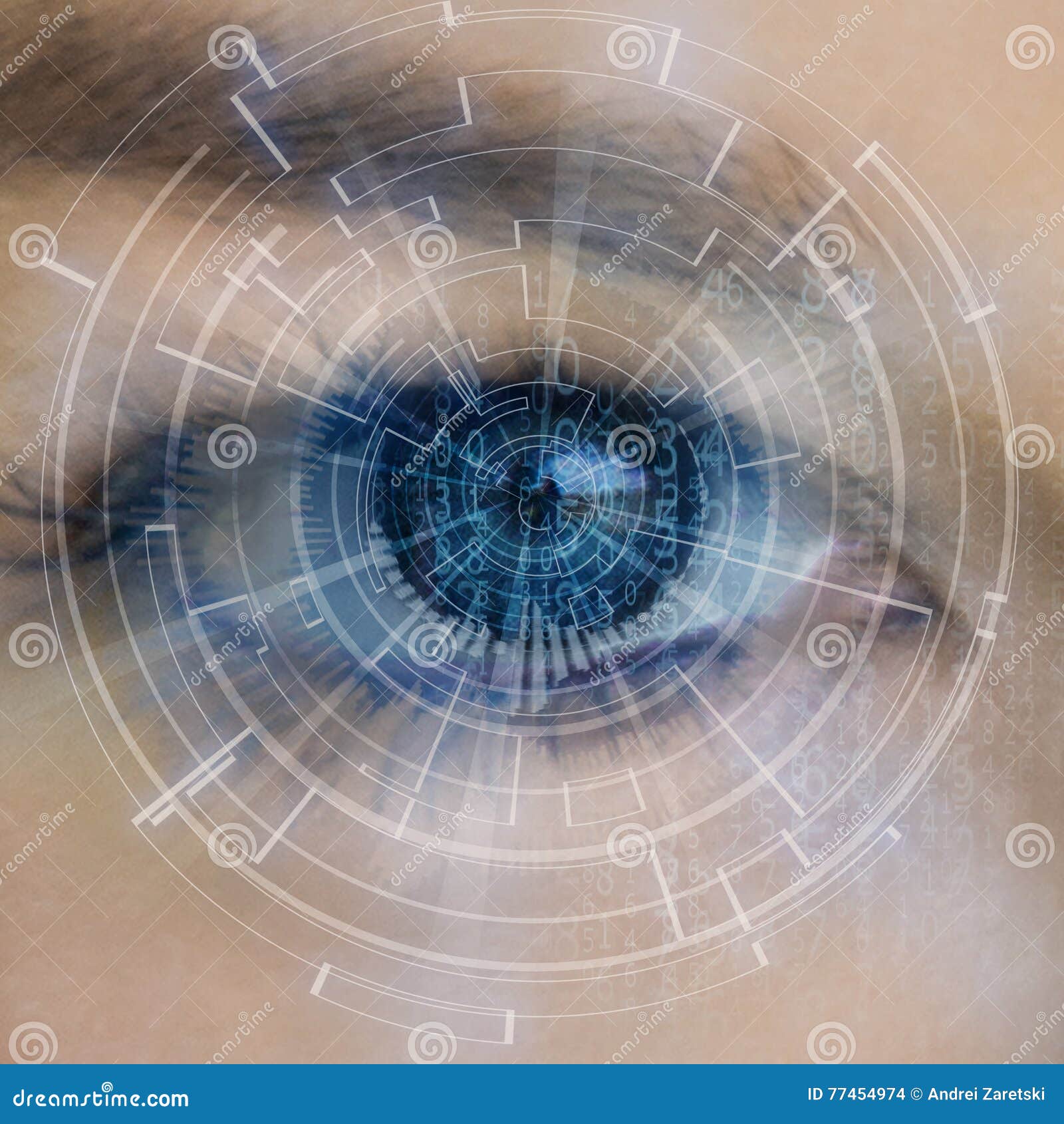 Eye Viewing Digital Information Represented by Circles Stock ...