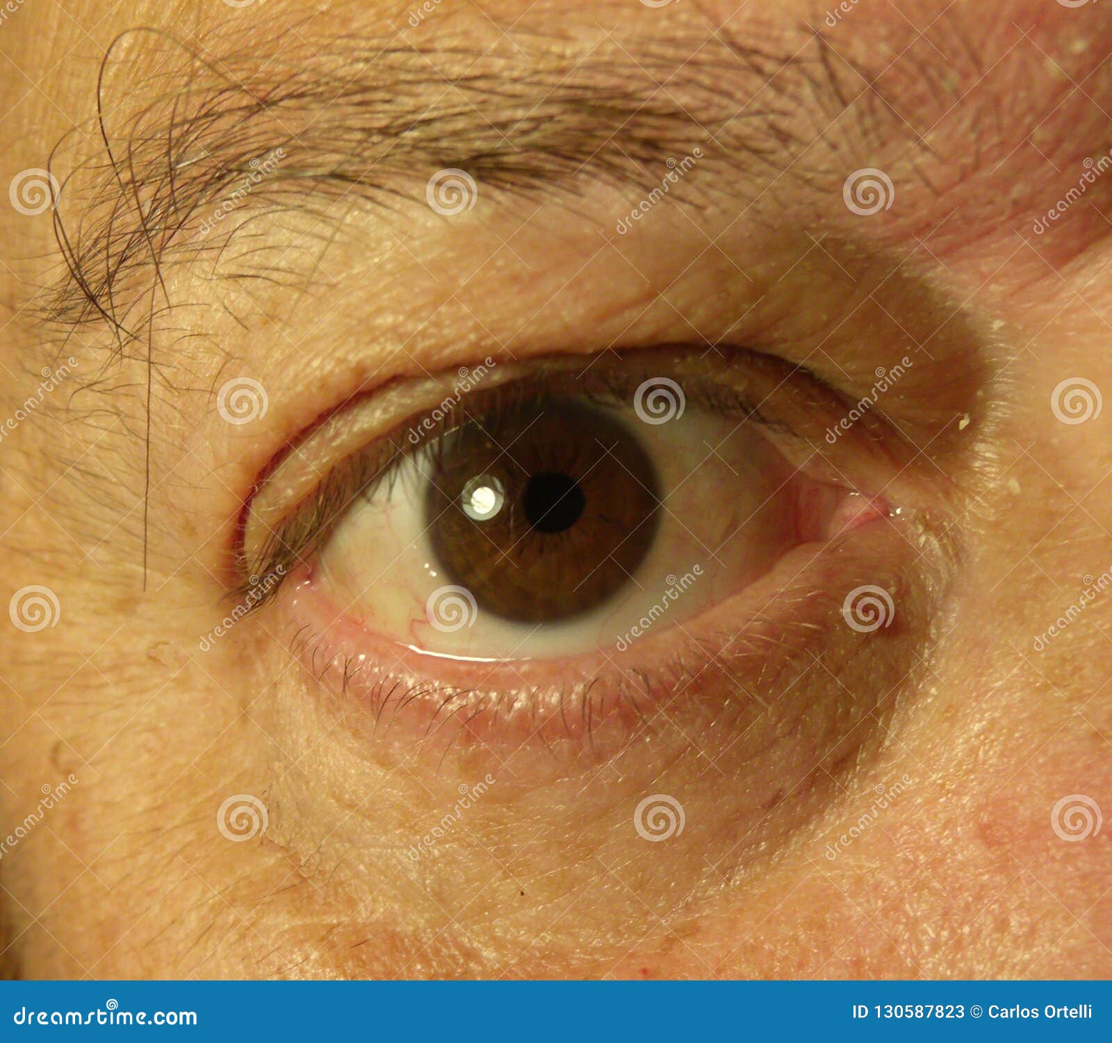 An eye is watching you stock image. Image of apple, sight - 130587823