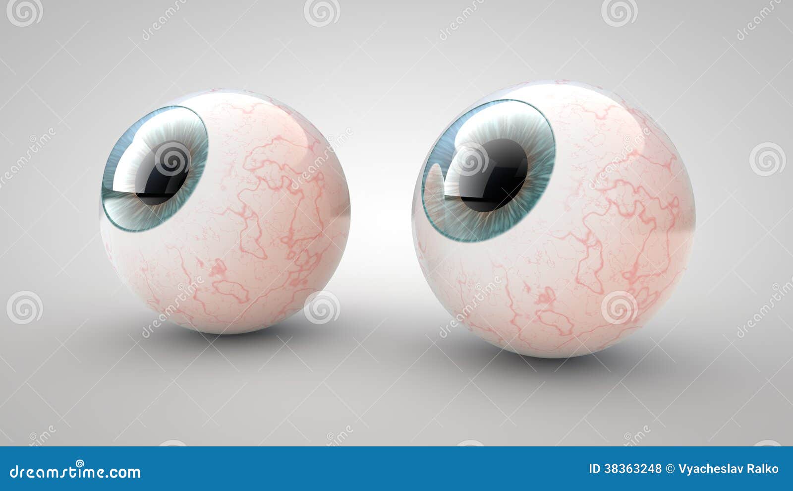 Eye on a white background stock illustration. Illustration of look ...