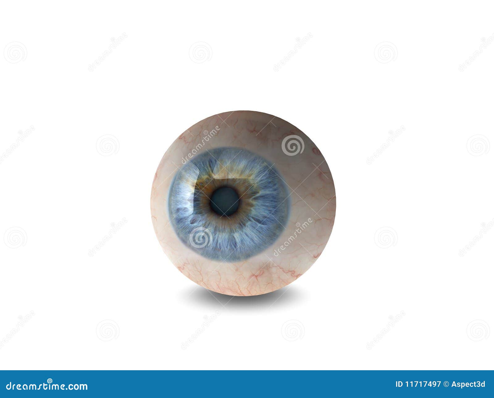 Eyeball Cartoons, Illustrations & Vector Stock Images - 62749 Pictures ...