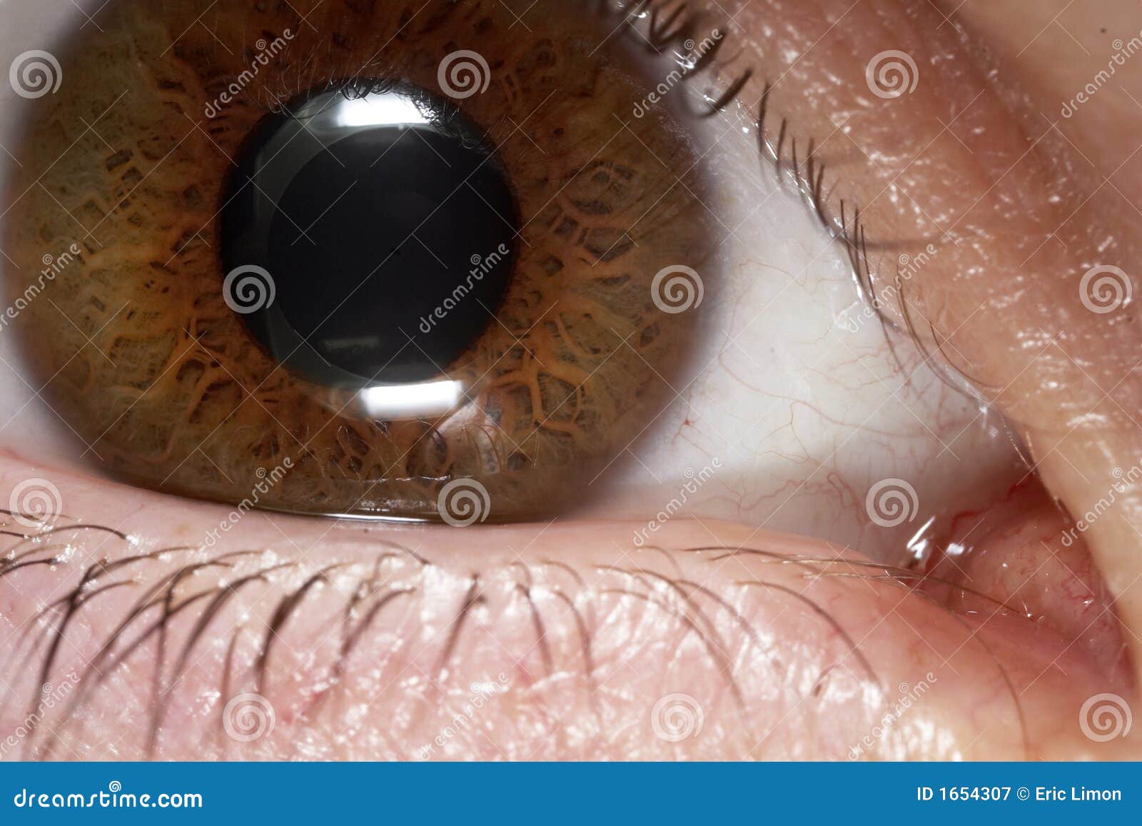 Eyeball stock image. Image of eyeball, vision, beauty - 1654307