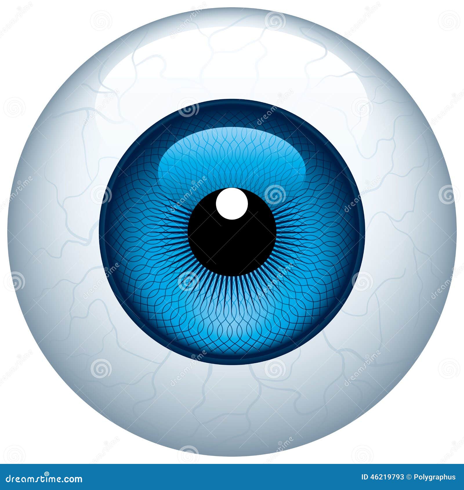 Eyeball illustration de vecteur. Illustration du anatomie - 46219793