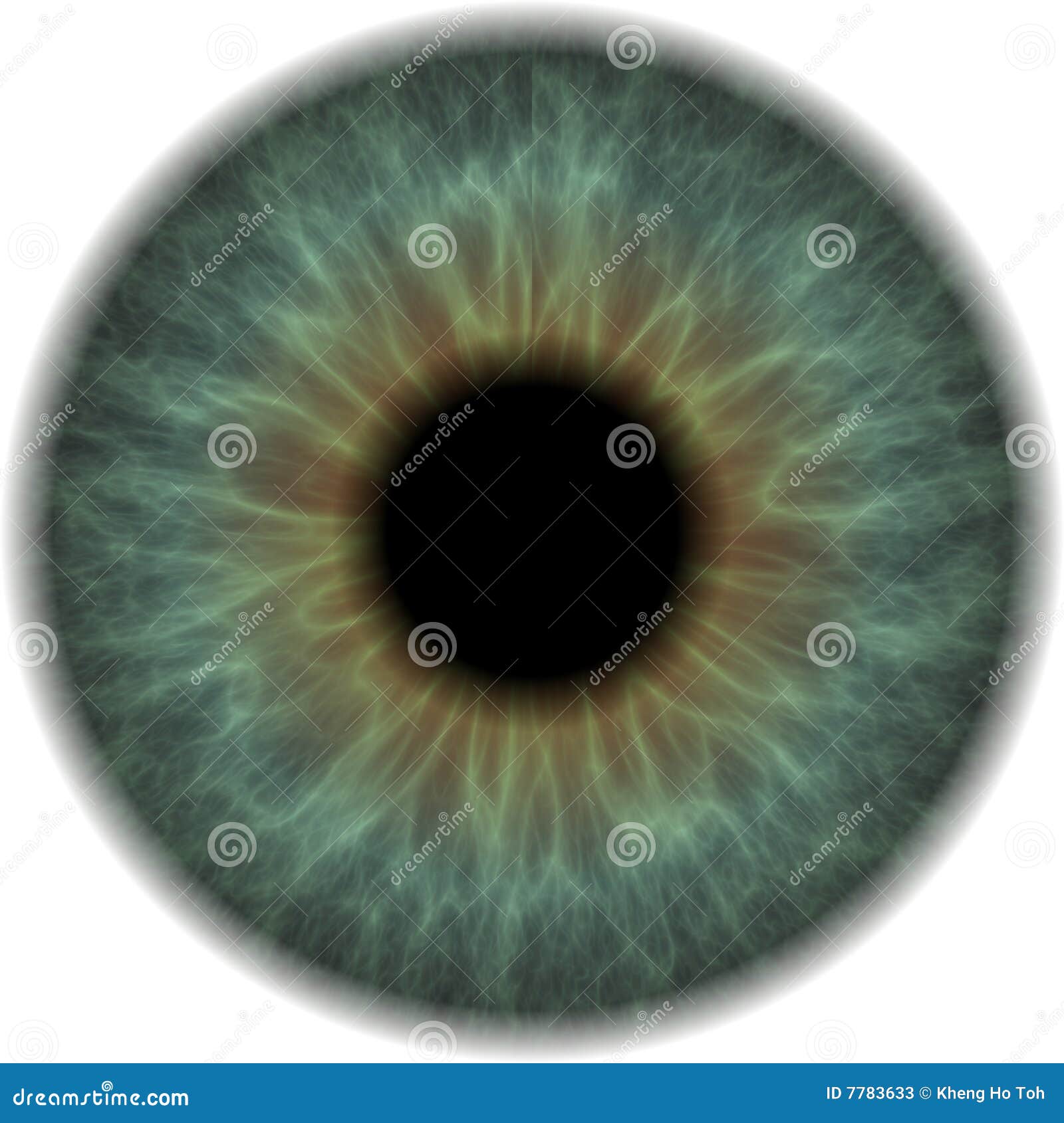 Eyeball stock illustration. Illustration of single, clip - 7783633