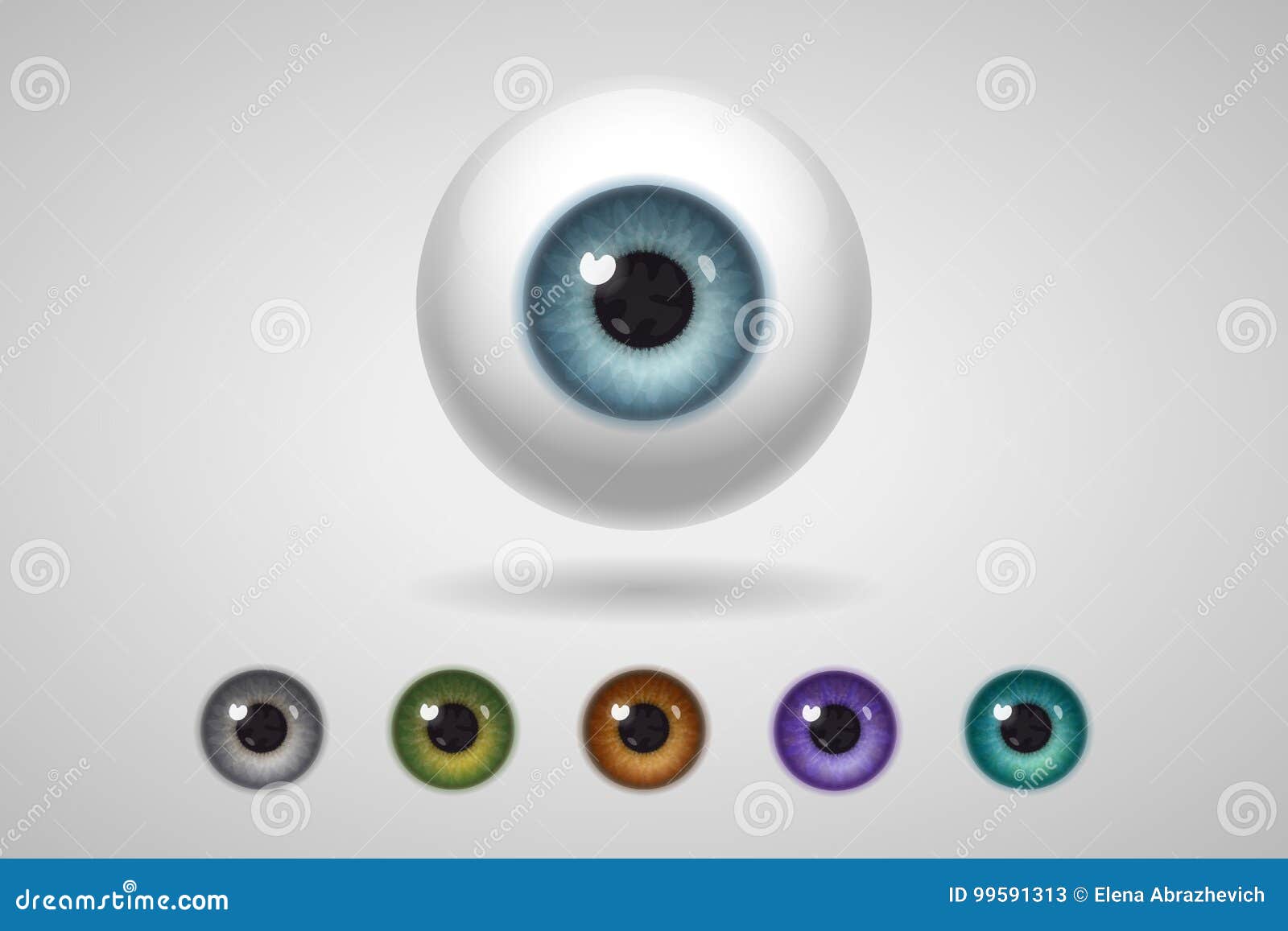 Eyeball and colored irises stock vector. Illustration of look - 99591313