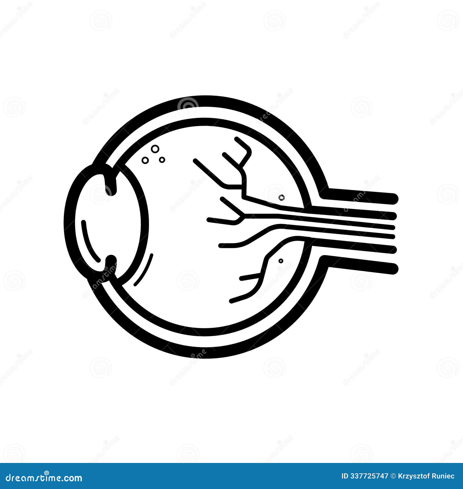 Eyeball - Cross Section Illustrated Royalty-Free Illustration ...