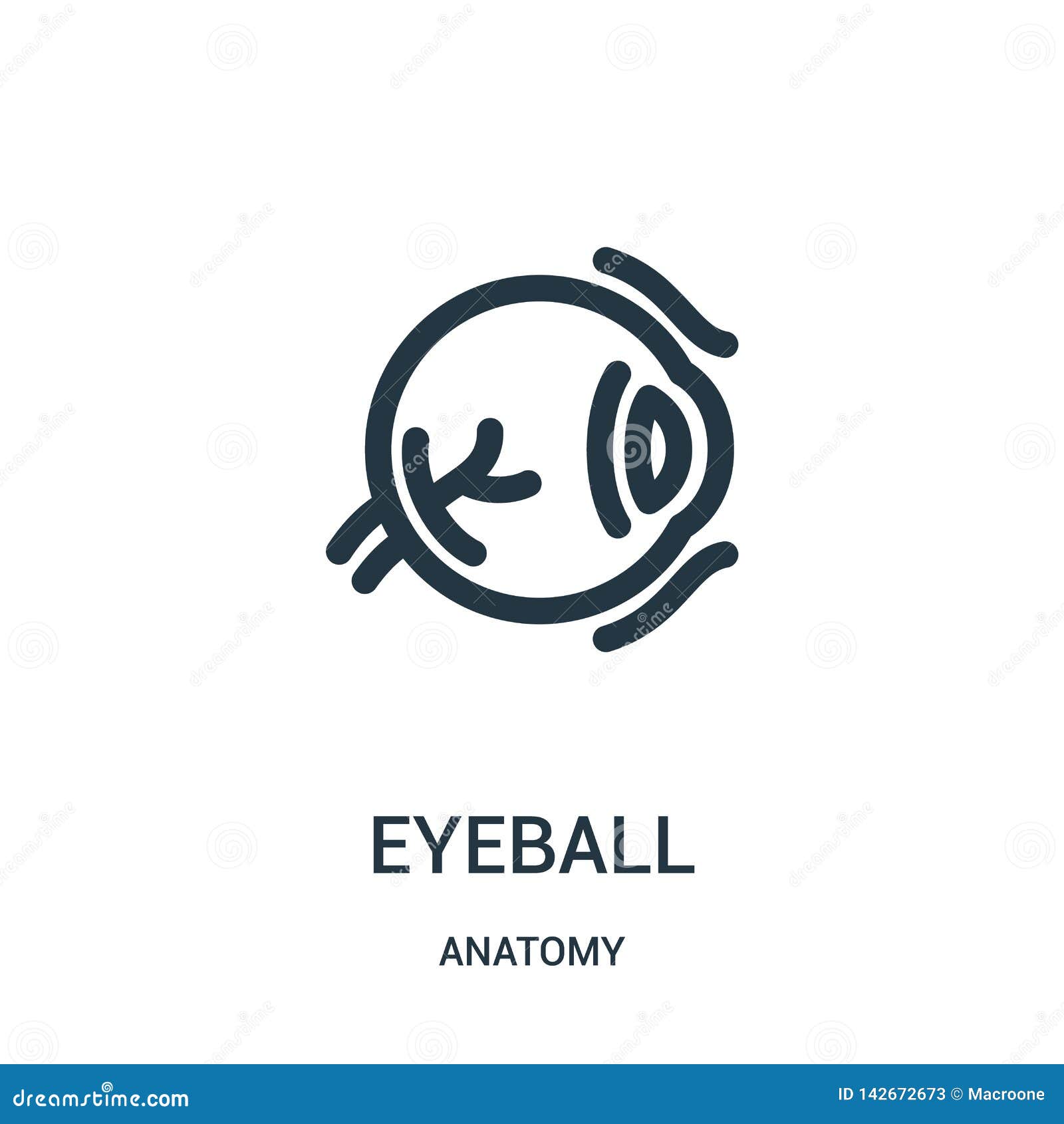 Eyeball Icon Vector from Anatomy Collection. Thin Line Eyeball Outline ...