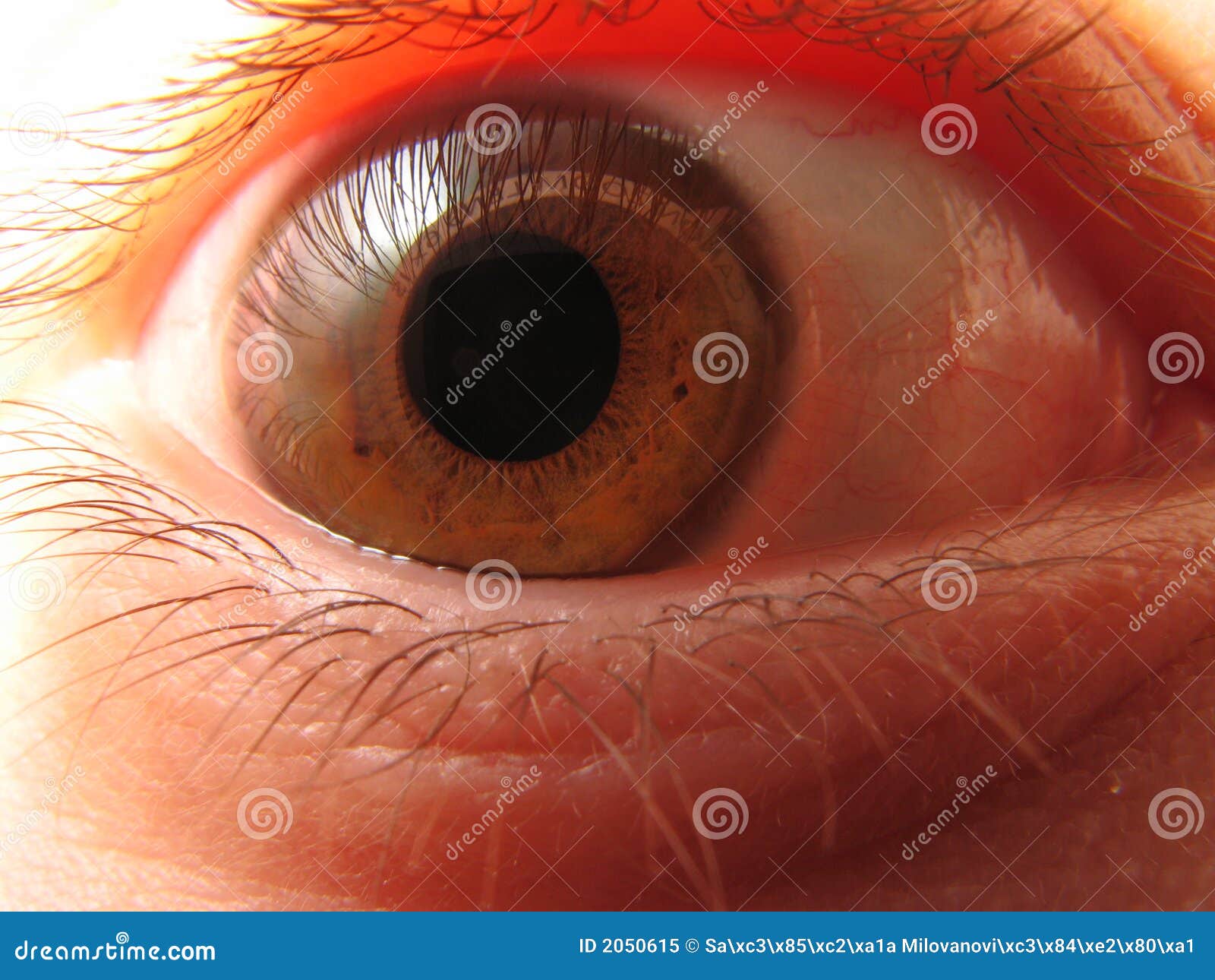 Eyeball Reflection Royalty Free Stock Photo - Image: 2050615