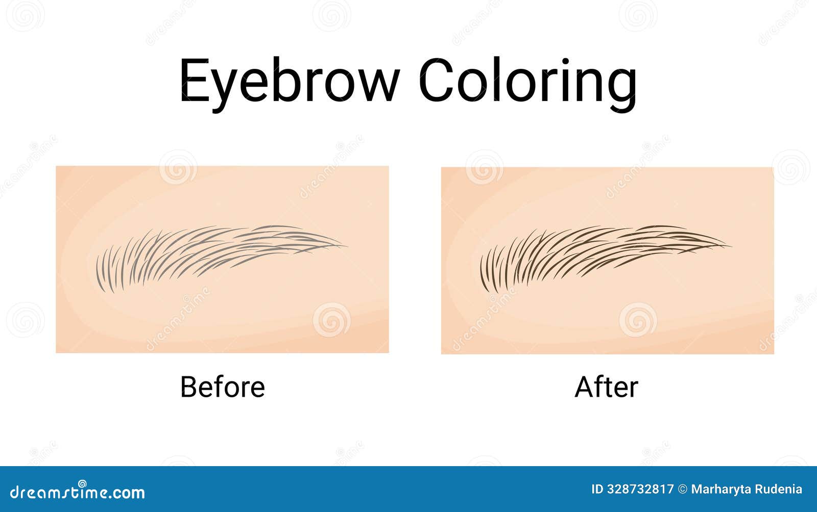 Eyebrow Coloring Transformation. before and after Stock Vector ...