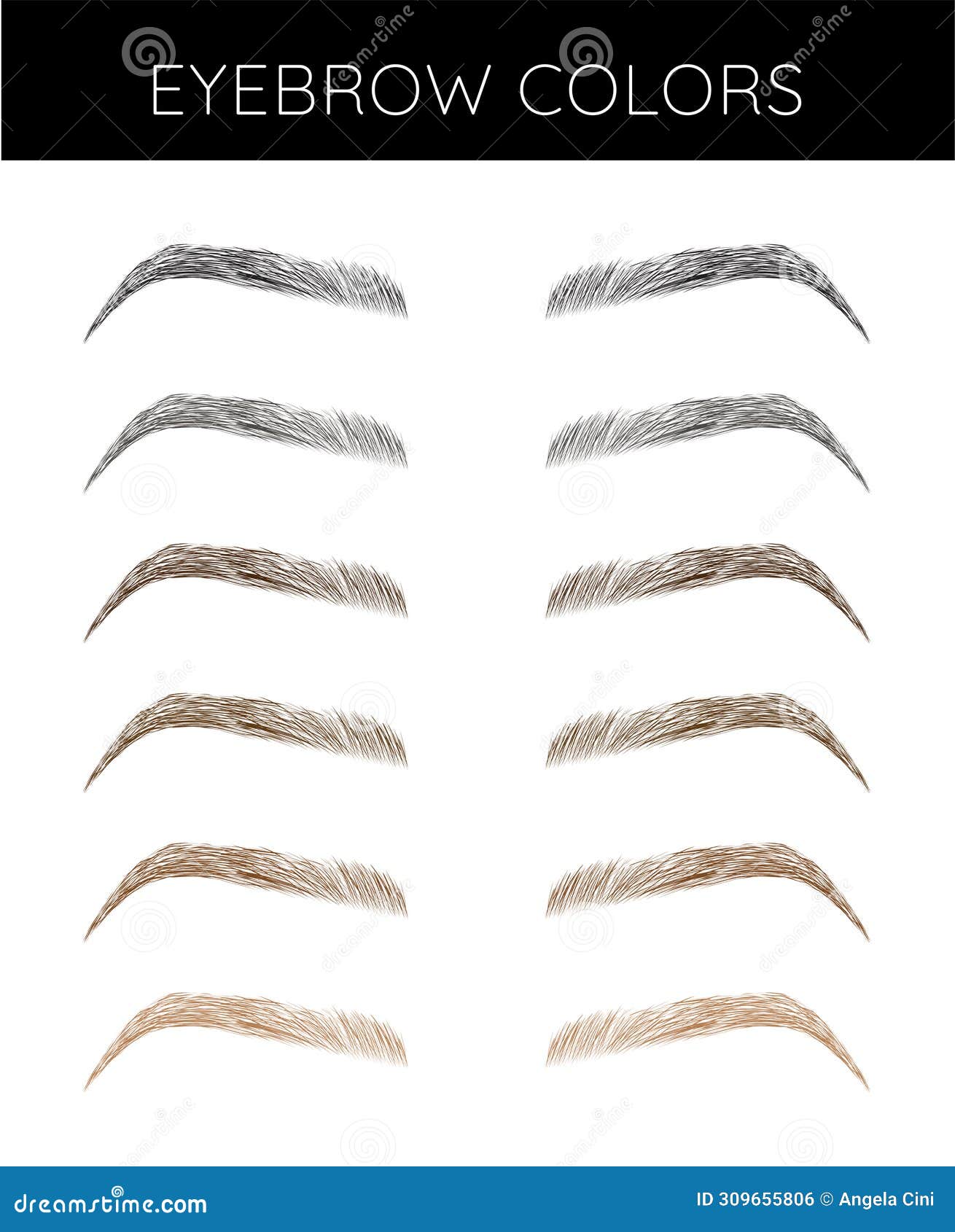 Eyebrow Colors Chart Illustration Stock Vector - Illustration of ...