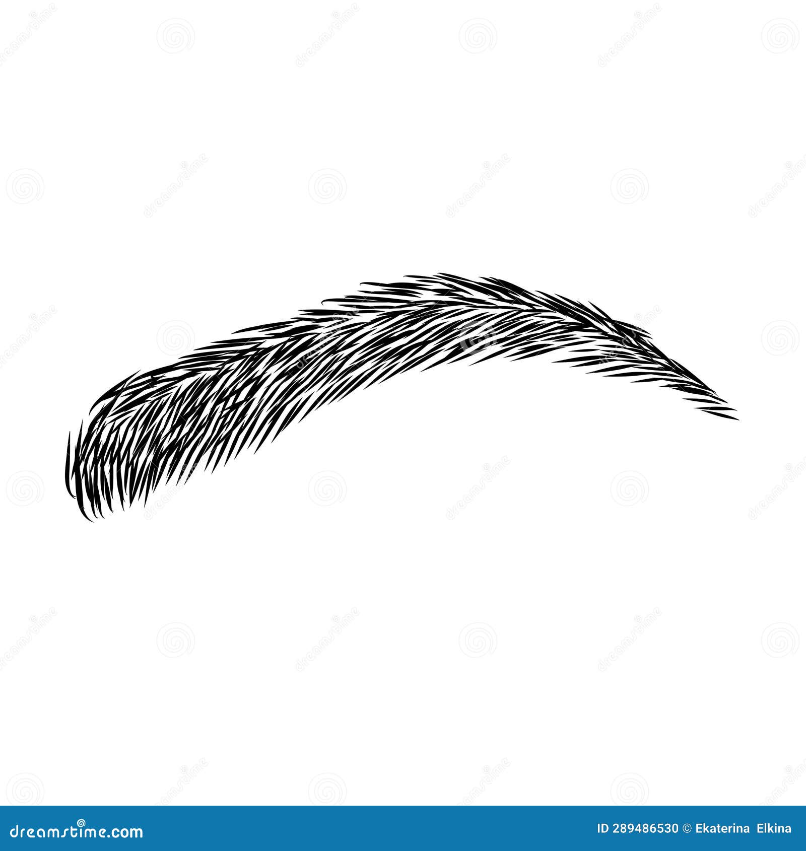 Eyebrow Design Logo. Vector Brow. Minimalism Stock Illustration ...