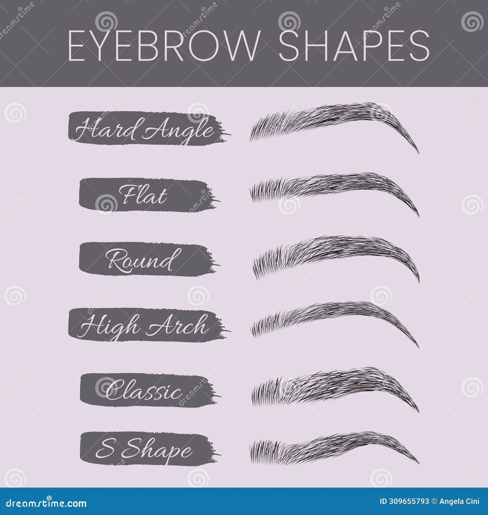 Eyebrow Shapes Types Illustration Stock Vector - Illustration of ...