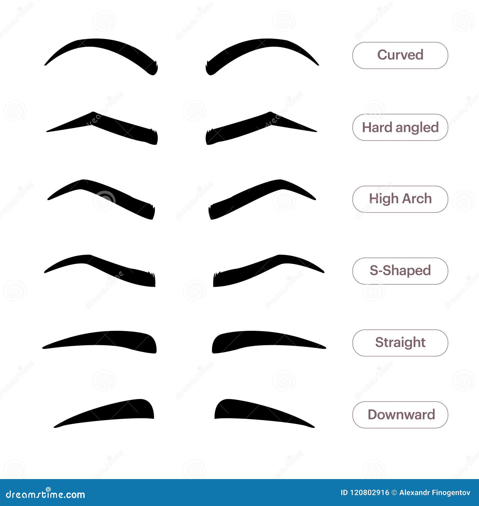 Eyebrow Shapes. Various Brow Types. Vector Table With Eyebrows And ... Eyebrow Shapes. Various Brow Types. Vector Table With Eyebrows And ...