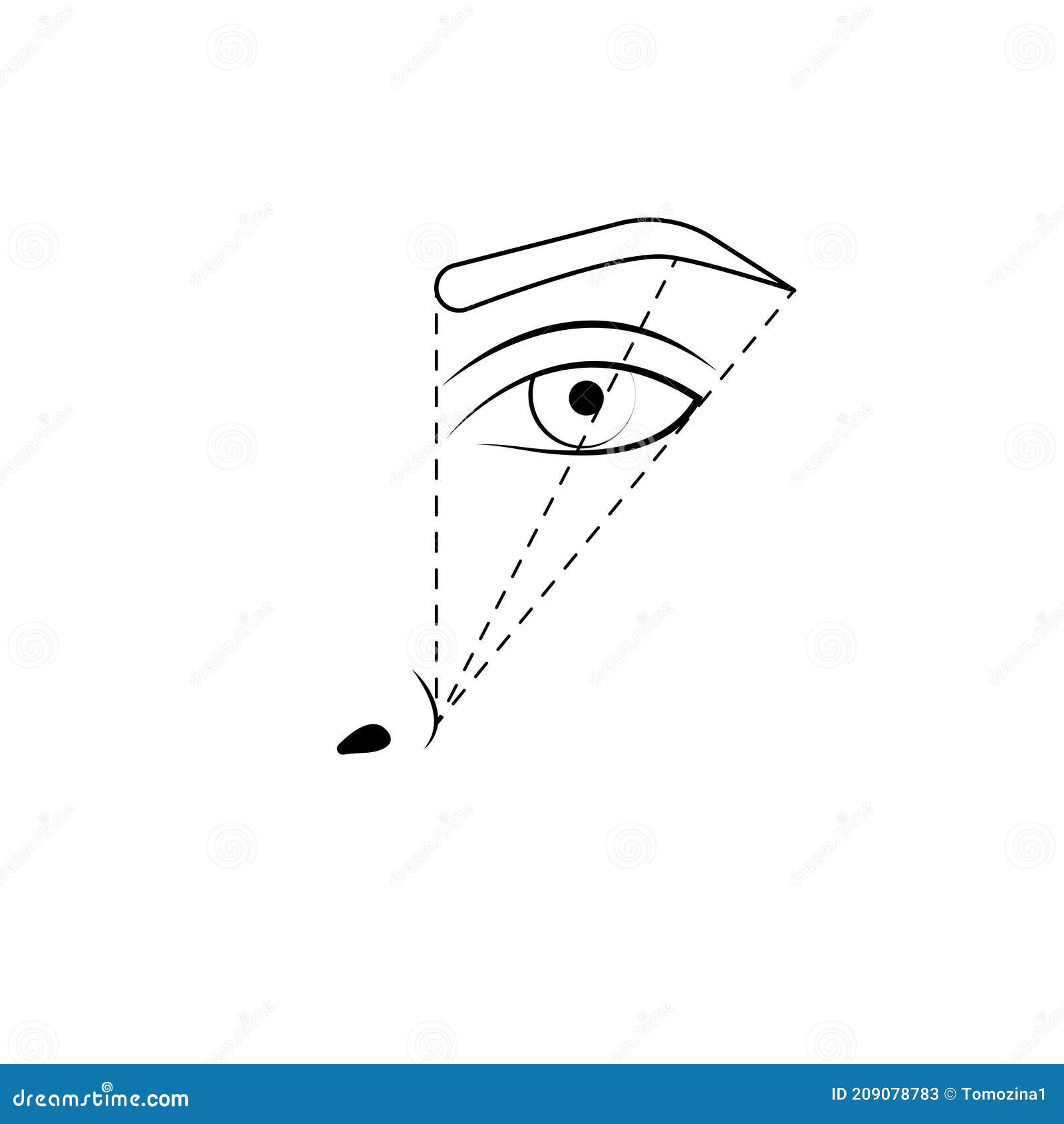 Eyebrow Tattoo, Marking Scheme. Eyebrow Correction, Microblading Stock ...