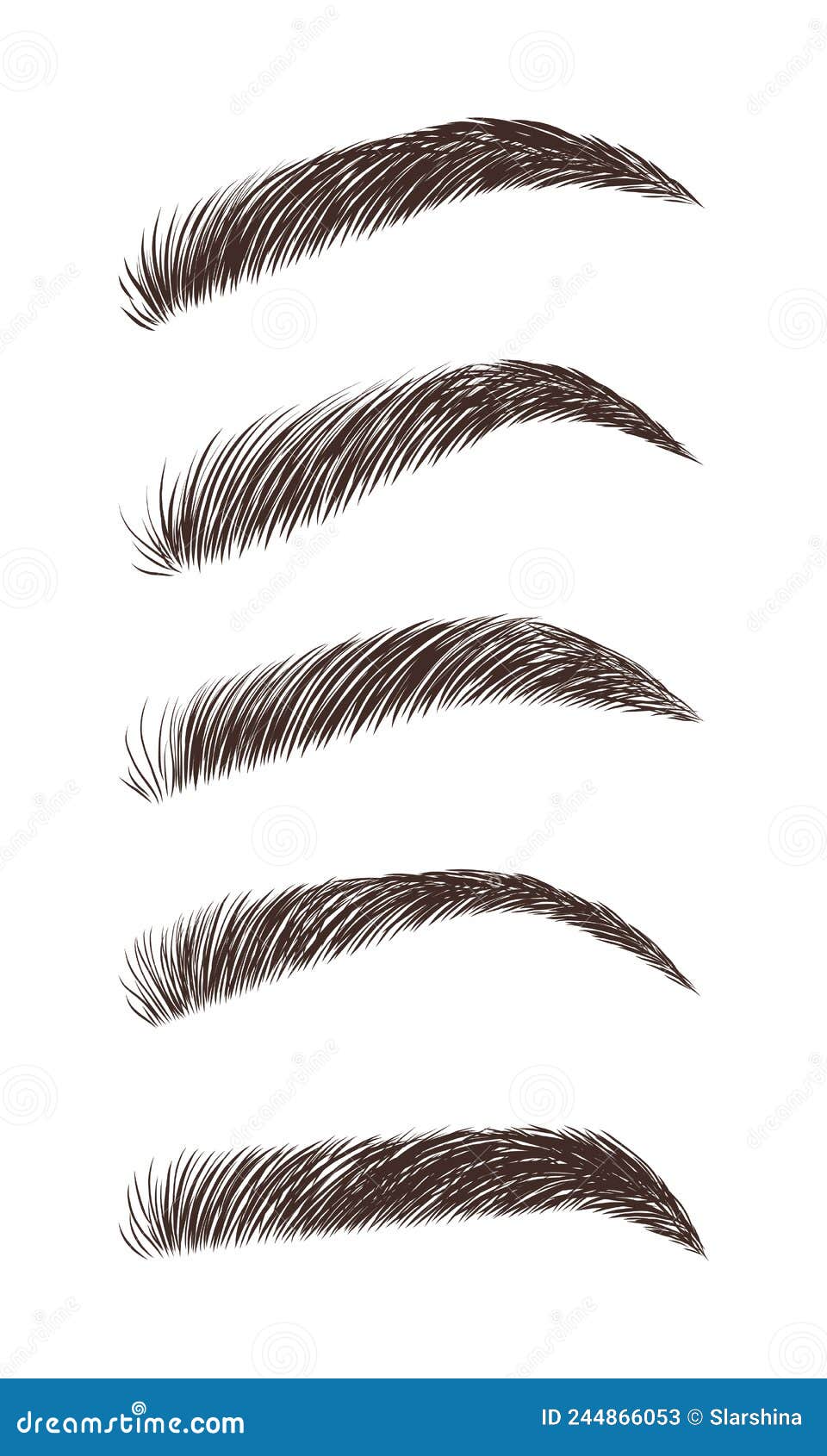 Eyebrows in Different Shapes. Linear Vector Illustration in Trendy ...