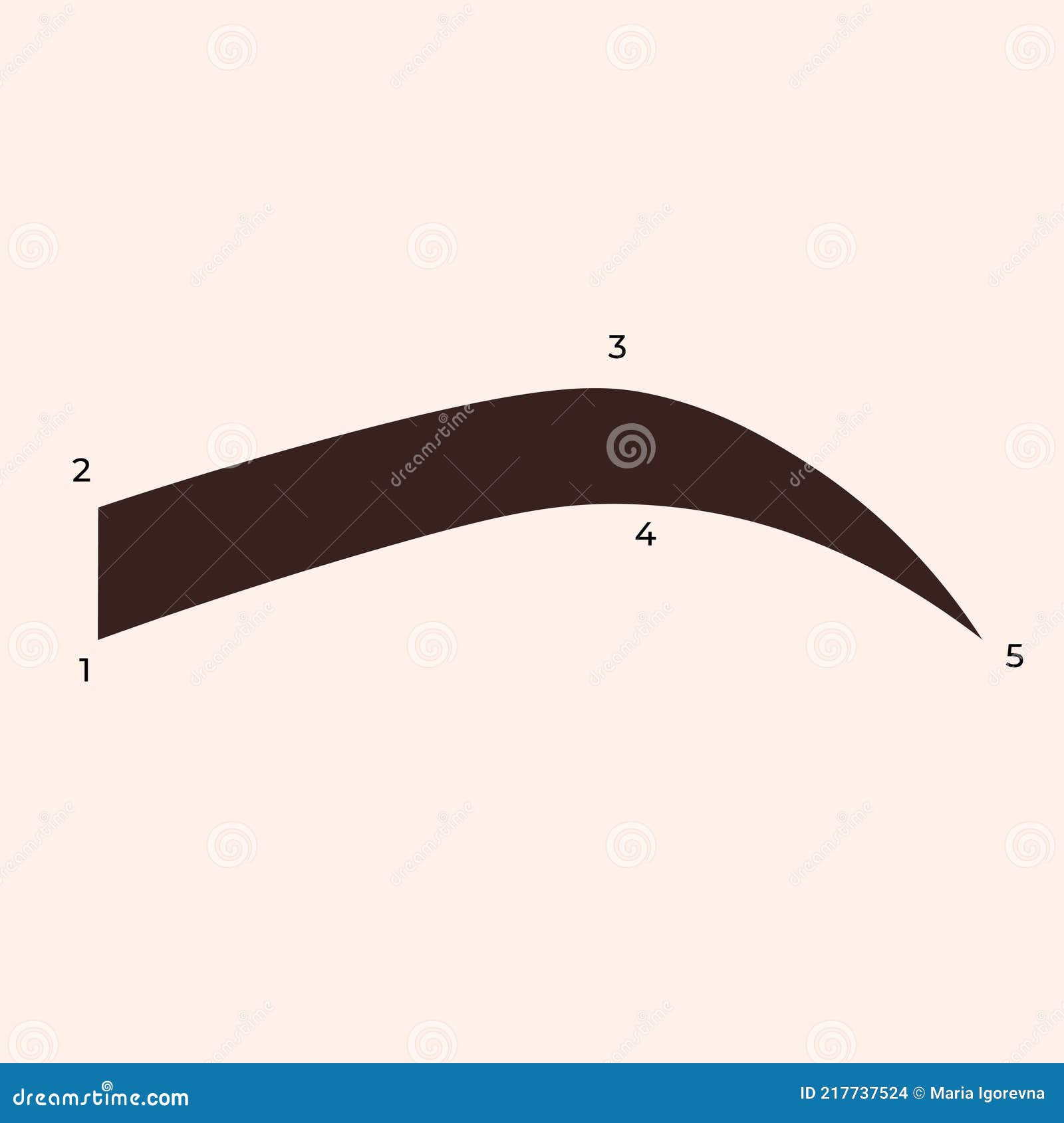 Eyebrows Shaping and Coloring. Points of Perfect Eyebrow Shape Stock ...