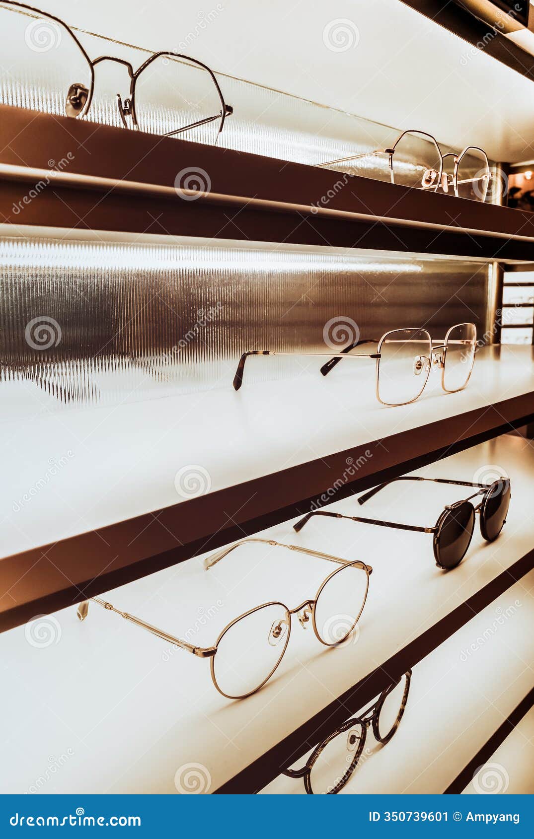 Eyeglasses Selection Displayed on Optical Store Shelves Stock Image ...