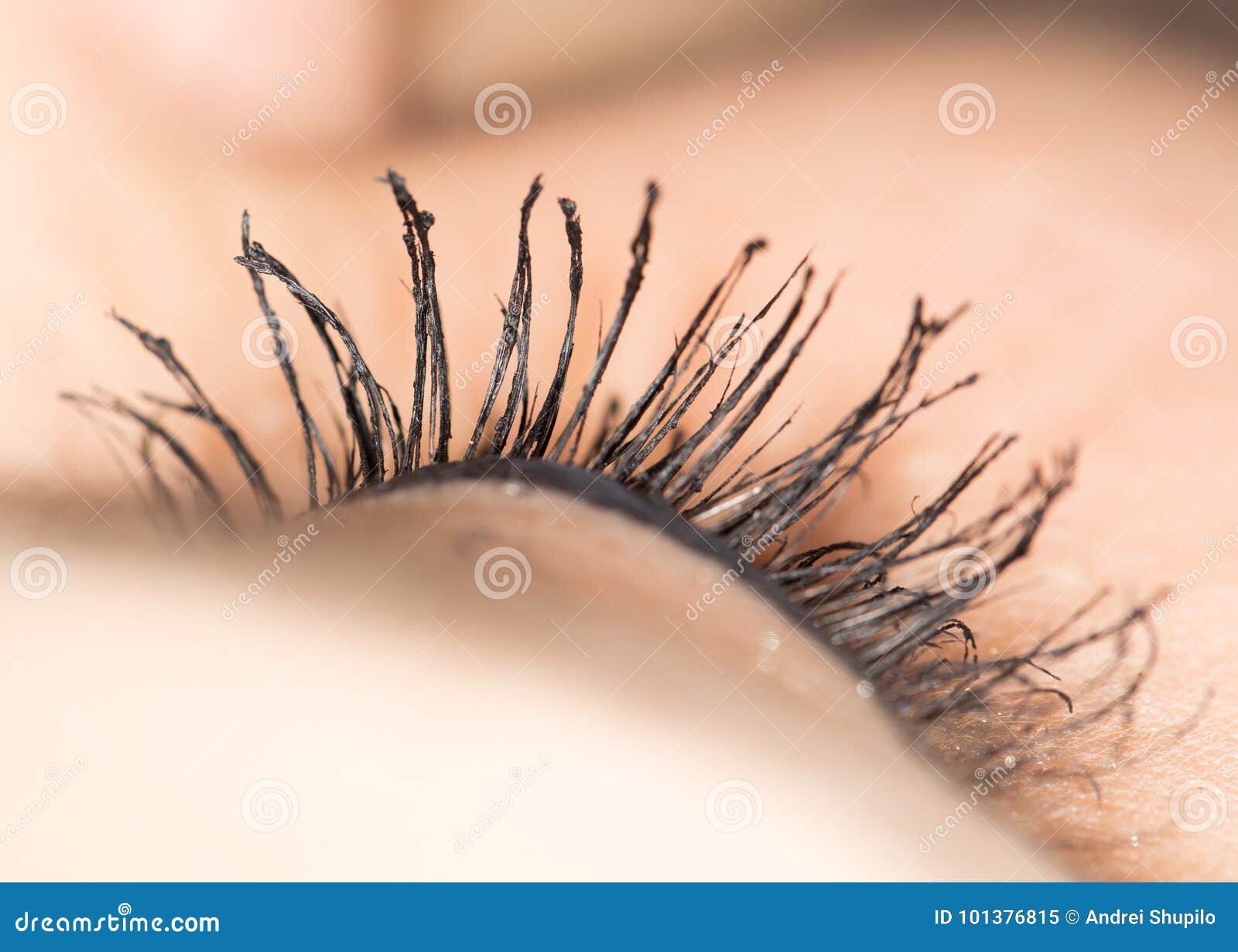 Eyelash Close-up imagem de stock. Imagem de close, eyelash - 101376815