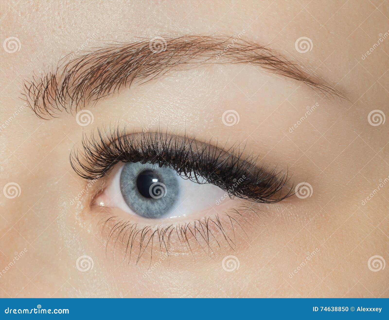 Eyelash 3D Technique in Front of a Young Girl, As Well As Modeling of ...