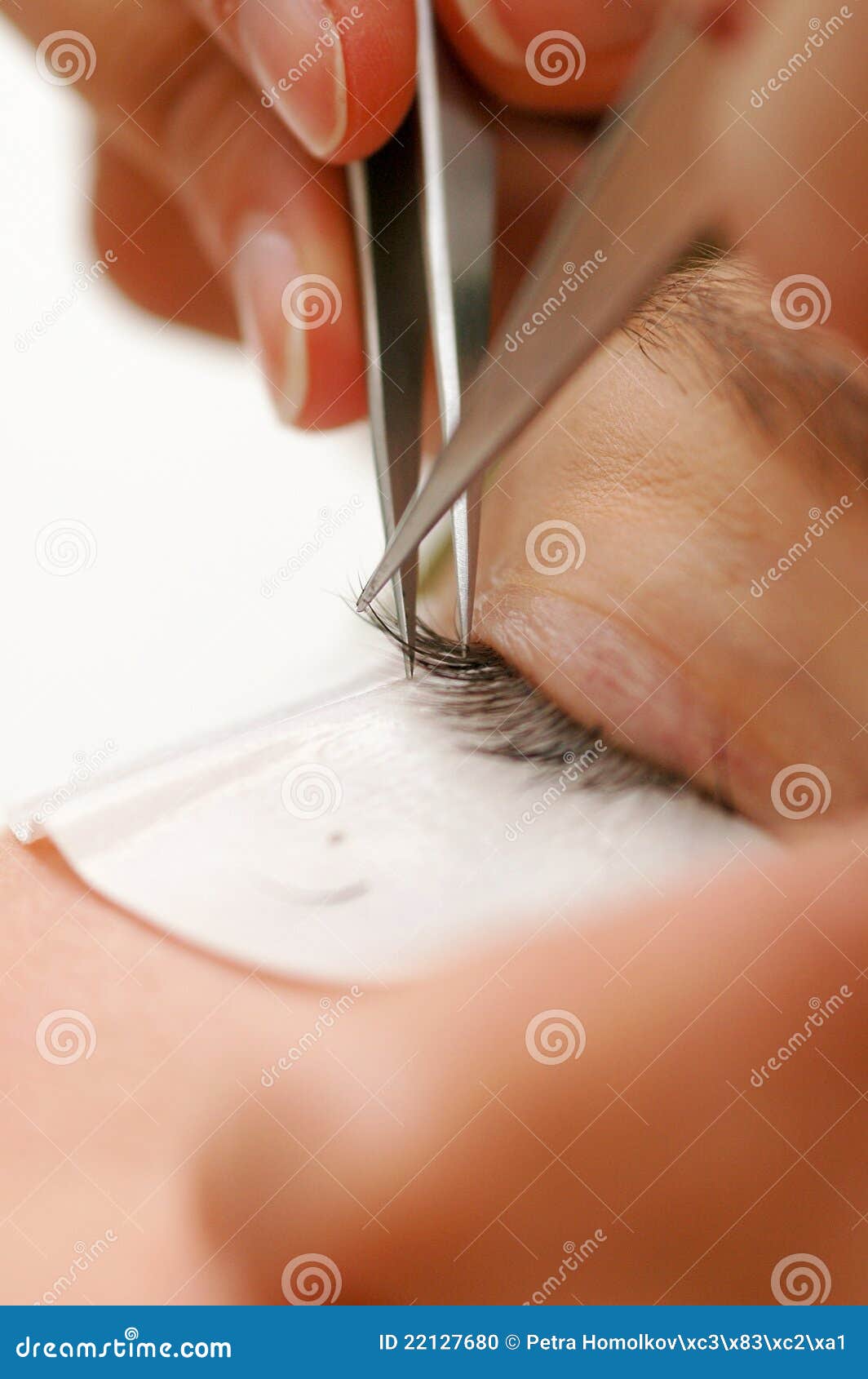 Eyelash Extension Application Stock Photo - Image of elegant, cosmetics ...