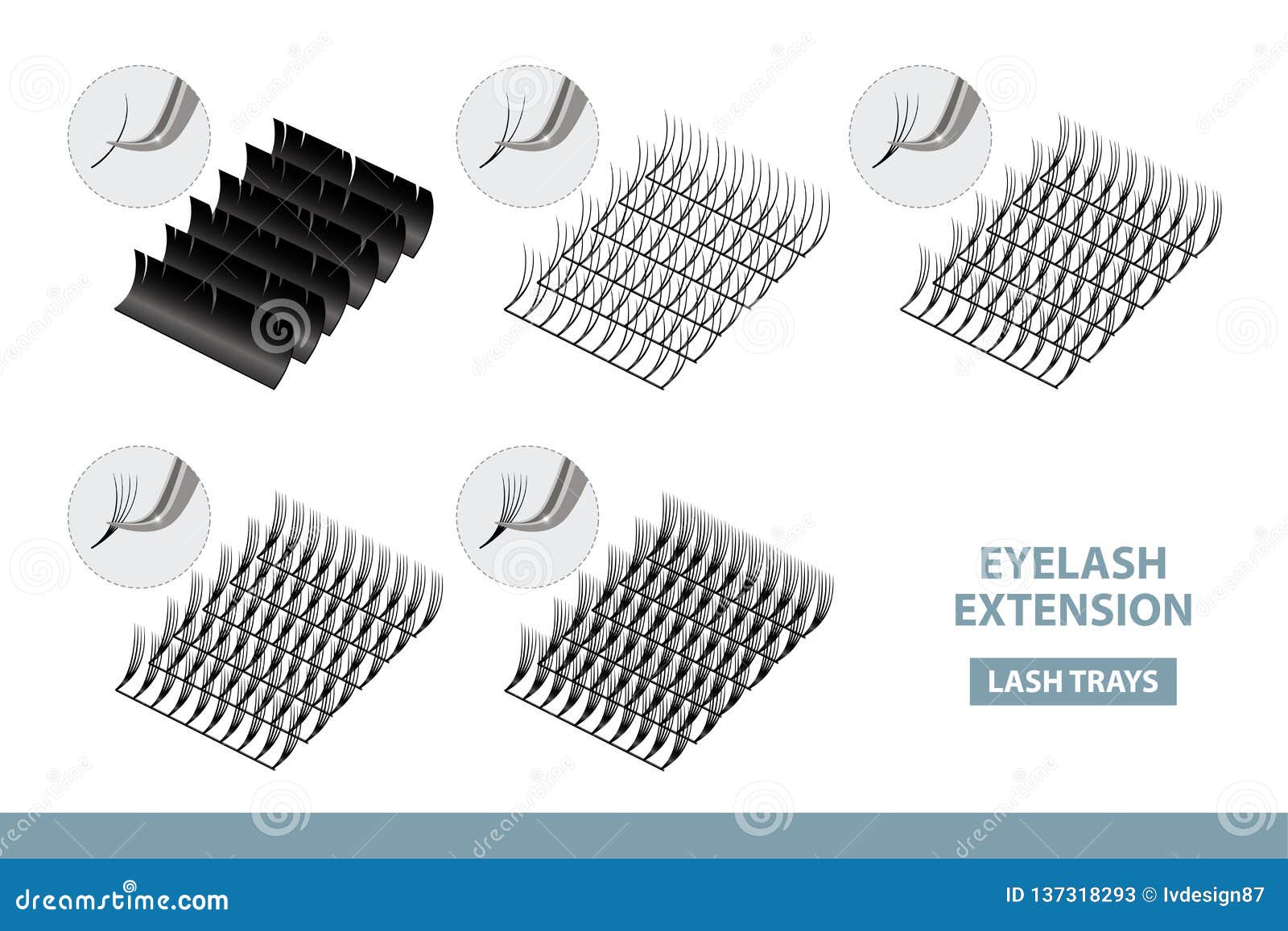 Eyelash Extension Style Chart. Different Eyelash Extension Types And ...