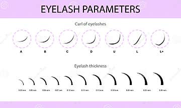 Eyelash Extension Guide. Direction Schemes. Tips and Tricks for Eyelash ...